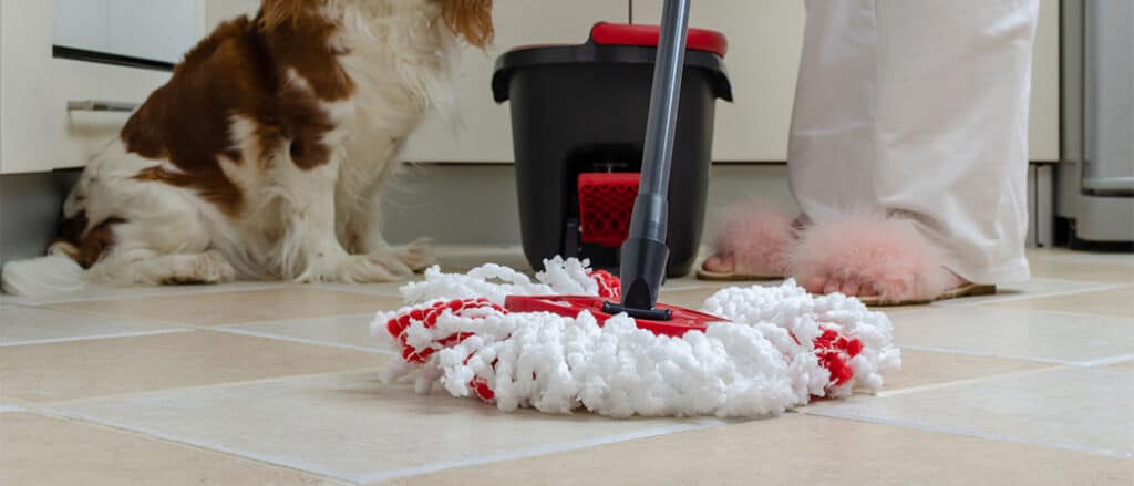 De 7 beste dweilen van 2024 | Doorgelicht