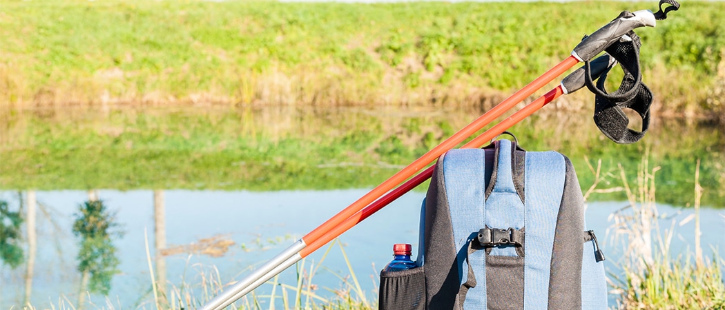 De 8 beste wandelstokken van 2023 | Doorgelicht reviews